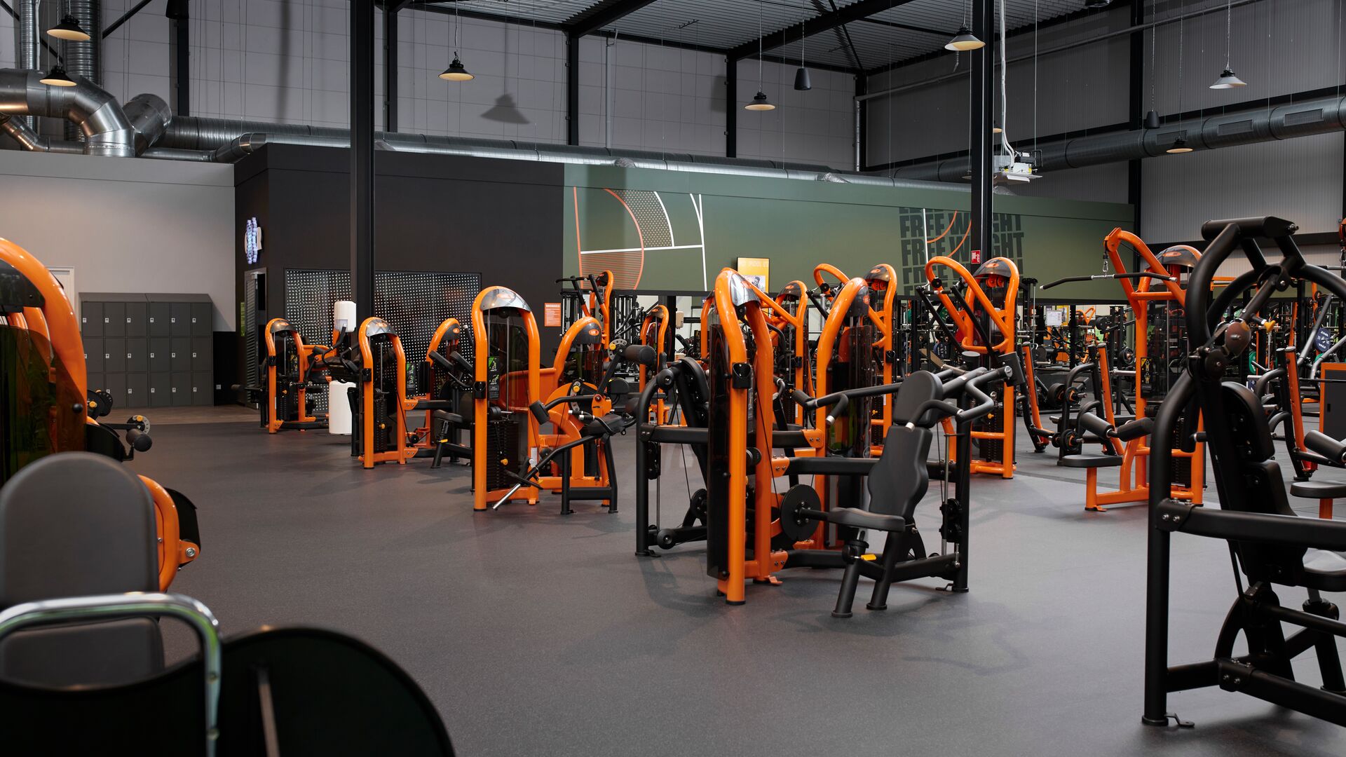 Marketingpersonalisatie voor Basic-Fit - Yelflow ervaringen